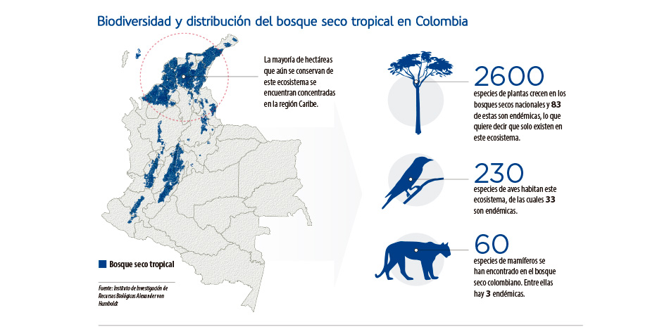 ¿Quiénes protegen los bosques secos del Caribe?